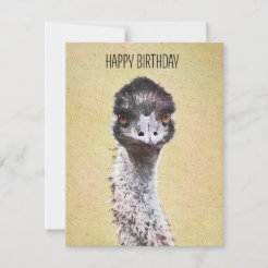 Emu Birthday Cards | Zazzle UK