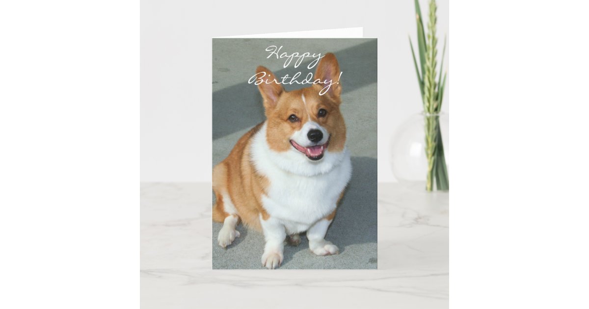 Happy Birthday Welsh Corgi Greeting Card | Zazzle.co.uk