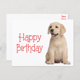 Happy Birthday Yellow Labrador Retriever Postcard | Zazzle