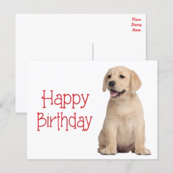 Happy Birthday Yellow Labrador Retriever Postcard | Zazzle