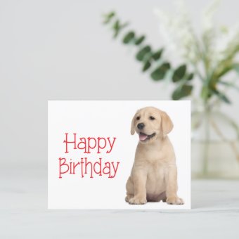 Happy Birthday Yellow Labrador Retriever Postcard | Zazzle