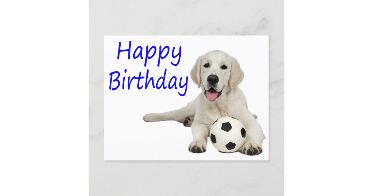 Happy Birthday Yellow Labrador Retriever Postcard | Zazzle