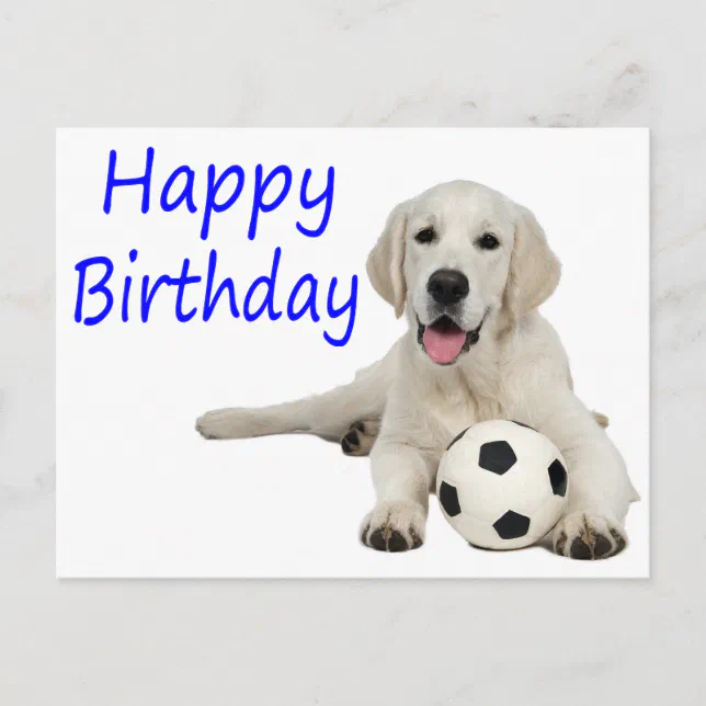 Happy Birthday Yellow Labrador Retriever Postcard | Zazzle