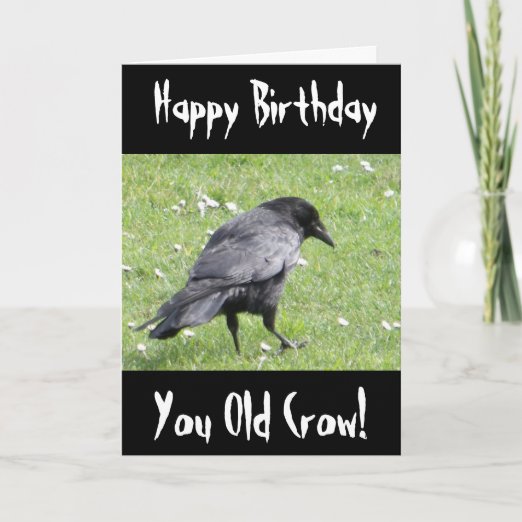 Carrion Crow Bird Crows Cards | Zazzle UK