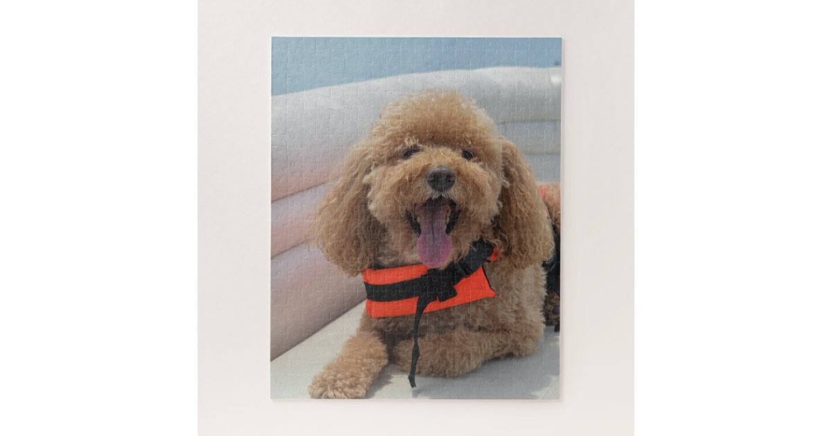 Happy Cockapoo Dog On Pontoon Boat Smiles Jigsaw Puzzle | Zazzle