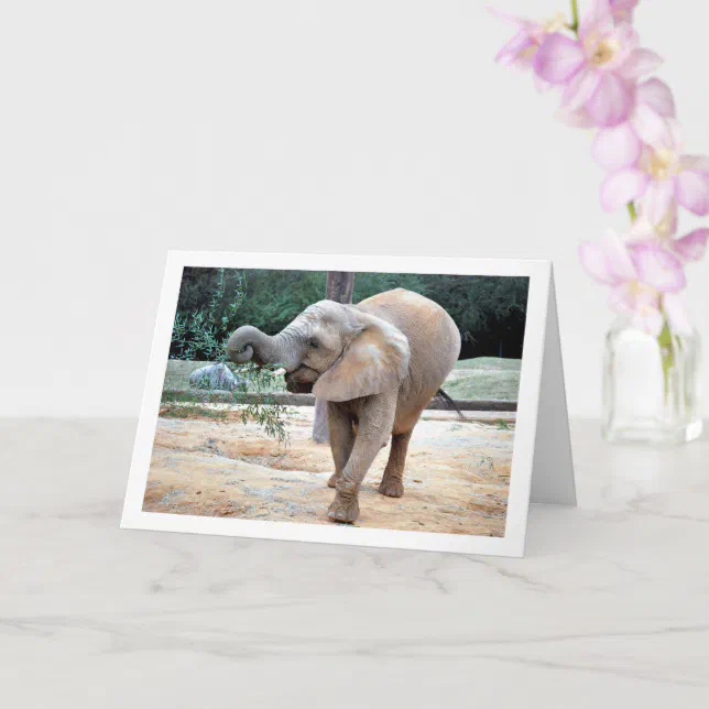 Happy Elephant Card | Zazzle