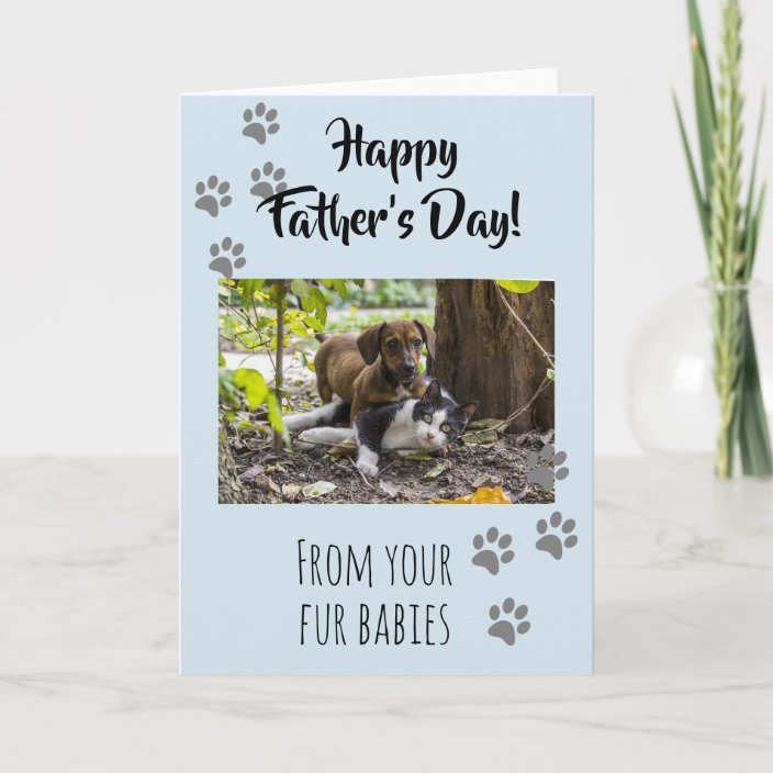Happy Father's day Photo Dog Cat Pet Fur Babies Card | Zazzle.co.uk
