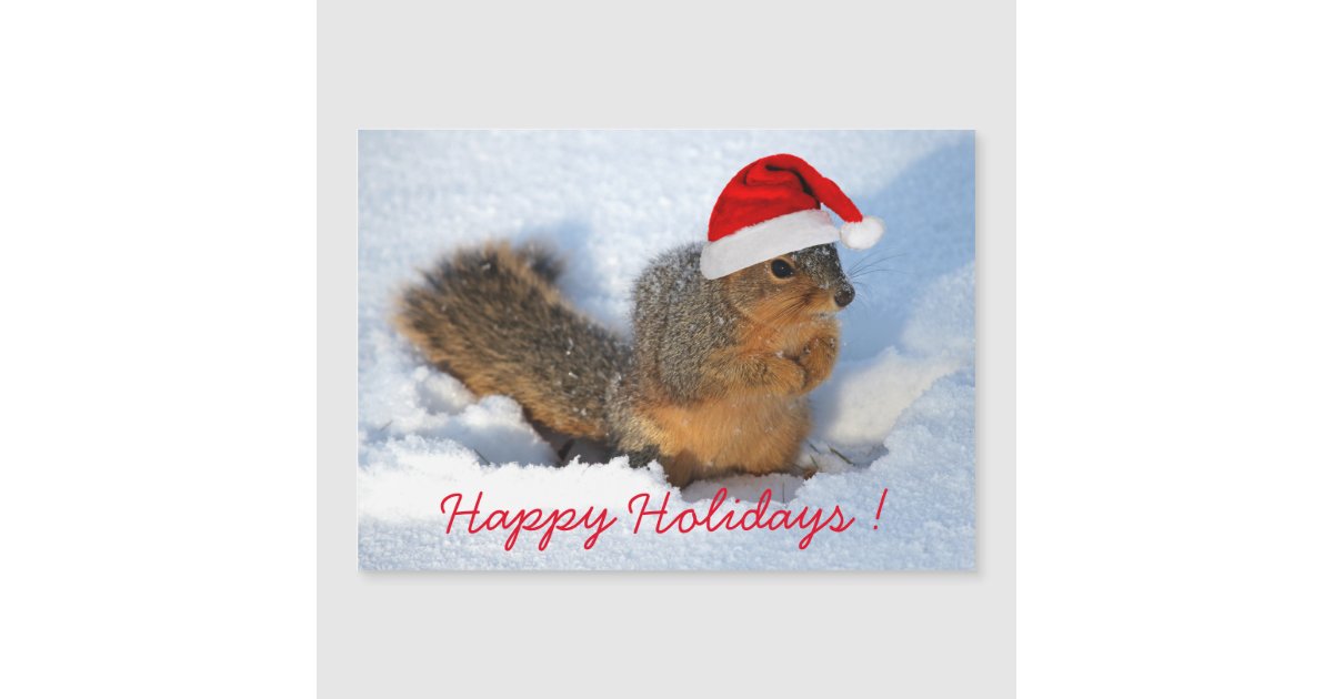 Happy Holidays Squirrel | Zazzle