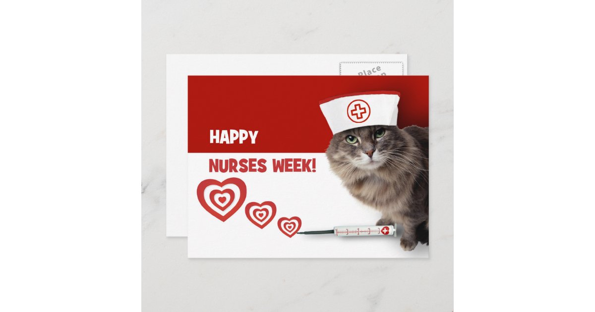 Happy Nurses Week. Funny Kitty Postcard | Zazzle