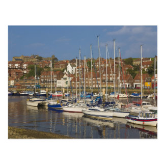 Whitby Postcards | Zazzle UK