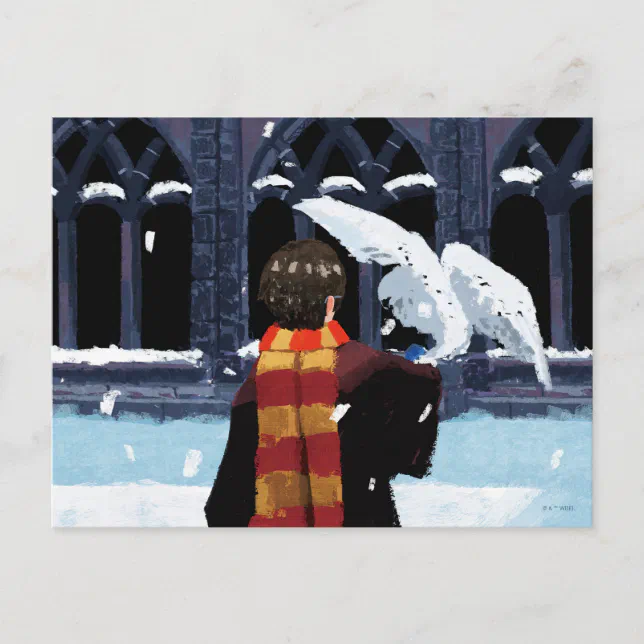 HARRY POTTER™ & Hedwig in the Snow Postcard | Zazzle