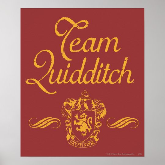 Harry Potter | Team QUIDDITCH™ Poster | Zazzle.co.uk