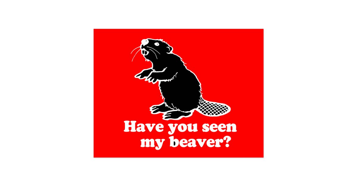 HAVE YOU SEEN MY BEAVER? POSTCARD | Zazzle.co.uk