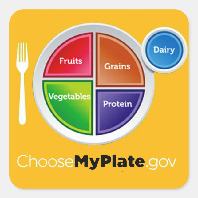 Healthy Meal Planning Choose My Plate Square Sticker | Zazzle