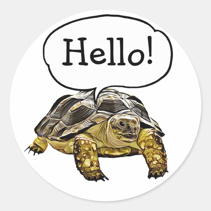 Hello Cute Turtle Stickers | Zazzle.co.uk