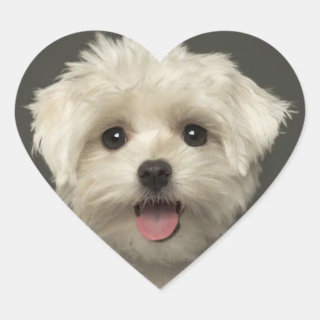 Hello Maltese Puppy Dog Stickers / Seals | Zazzle