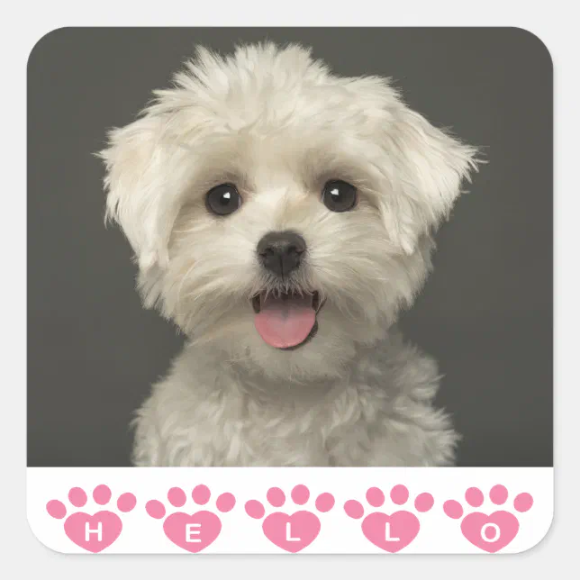 Hello Maltese Puppy Dog Stickers / Seals | Zazzle