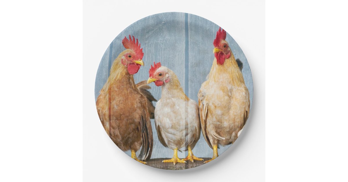 Hens and Chickens Paper Plate | Zazzle