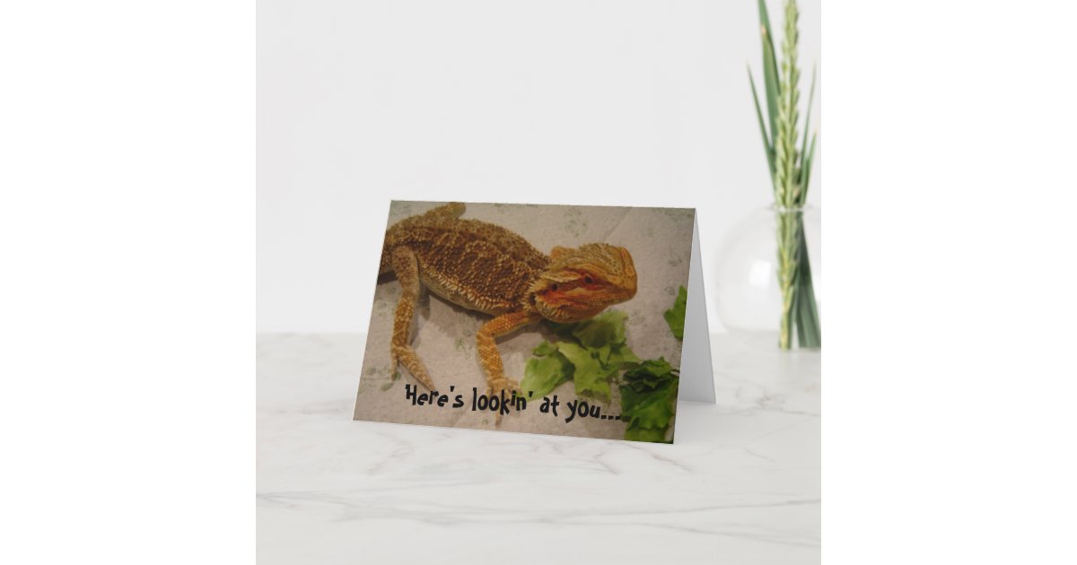 Here's Lookin' at You, Bearded Dragon Birthday Card | Zazzle