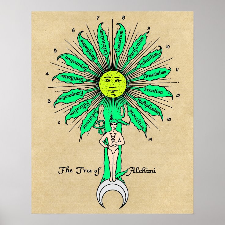 Hermes Sacred Tree of Alchemy Poster | Zazzle