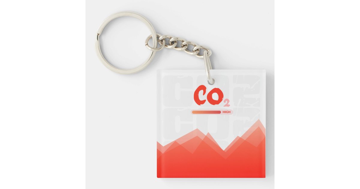 High levels of carbon dioxide pollution,colourful key ring | Zazzle