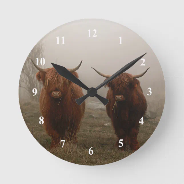 Highland Cattle Fog Photo Round Clock | Zazzle