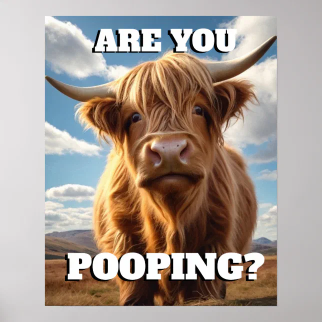Highland Cow Are you Pooping Funny Toilet Bathroom Poster | Zazzle