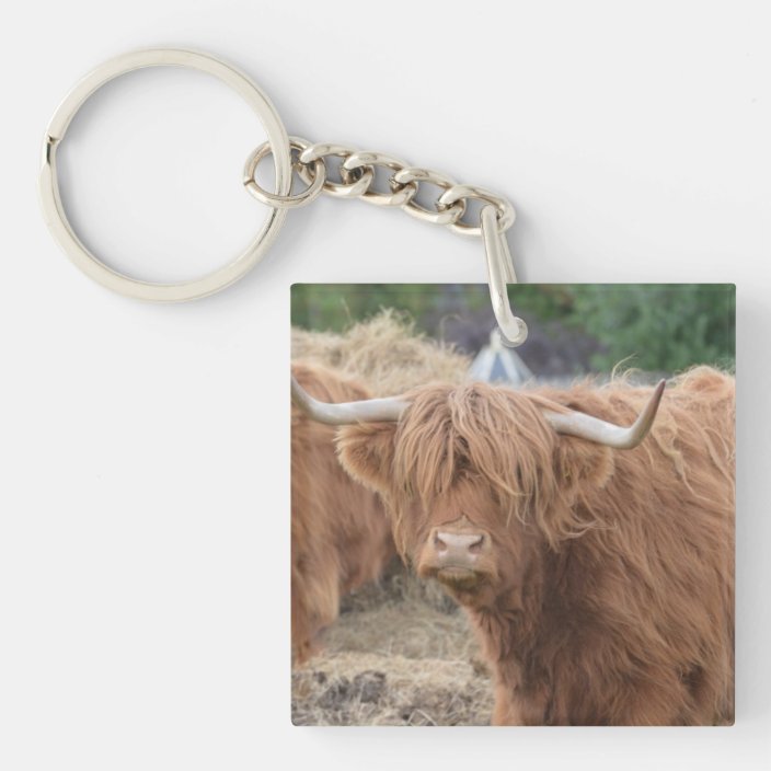 Highland Cow Key Ring | Zazzle.co.uk