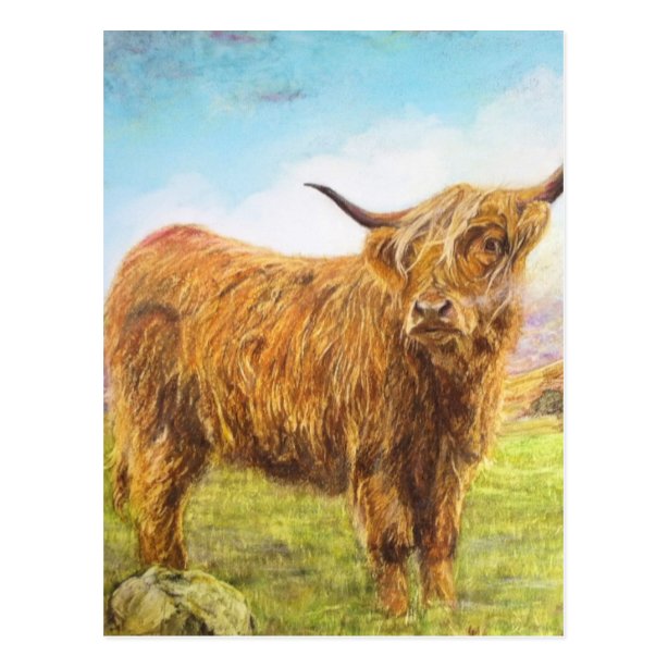 Highland Cow Gifts & Gift Ideas | Zazzle UK