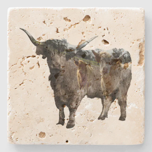 Highland Cow With Inverted Cows Image, Stone Coaster | Zazzle