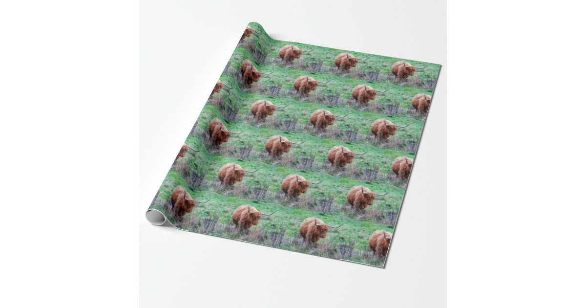 Highland cow wrap wrapping paper | Zazzle