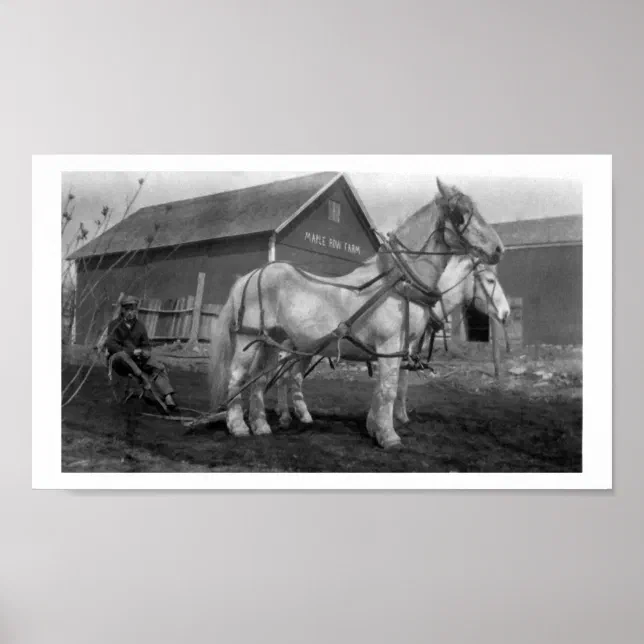 Historical Maple Row Farm photograph Poster | Zazzle