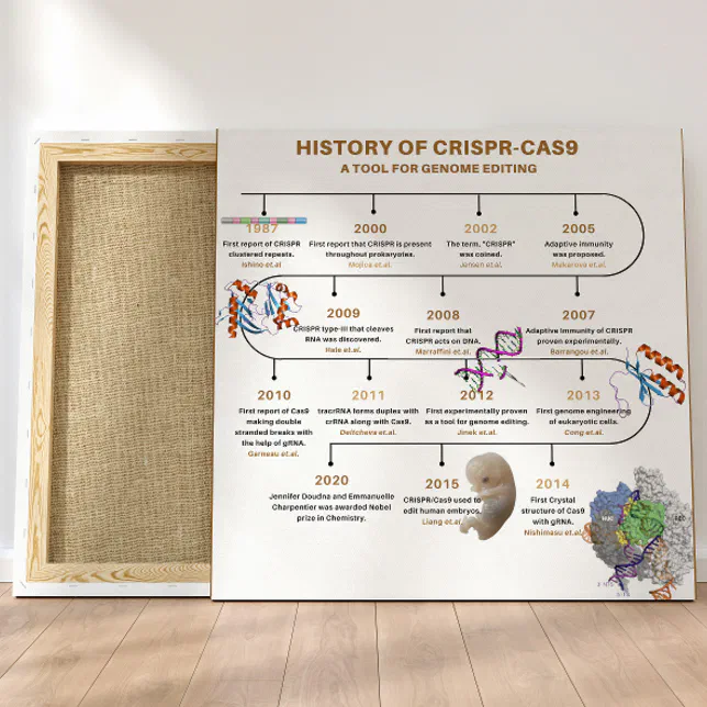 History of CRISPR genome editing timeline Poster | Zazzle