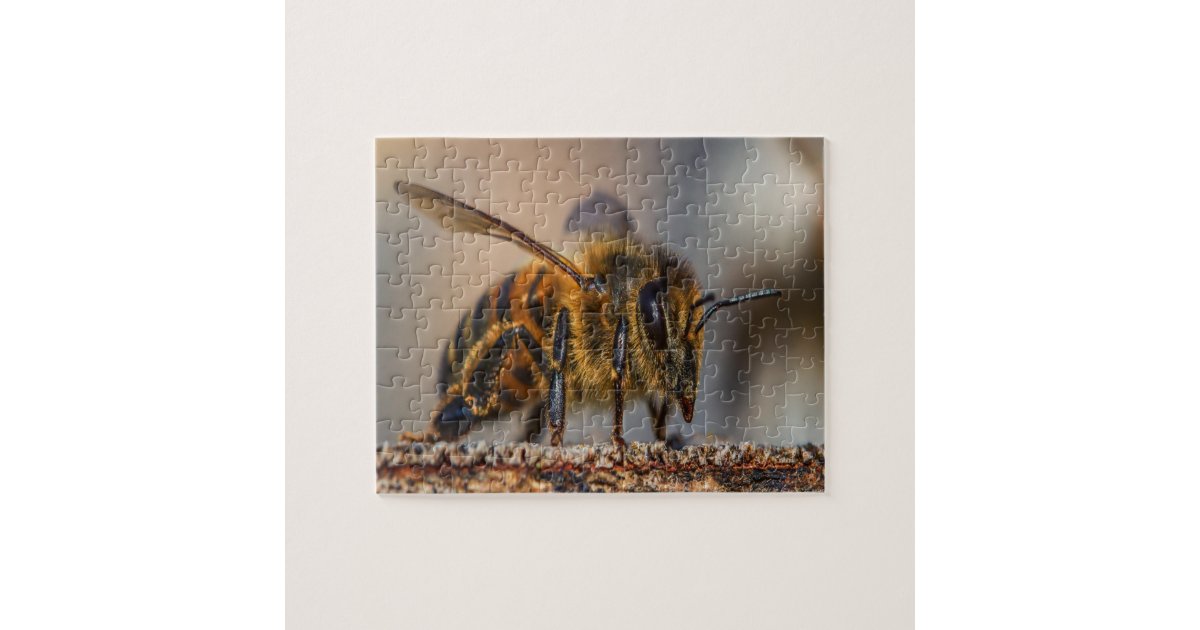 Honey Bee Love Jigsaw Puzzle | Zazzle