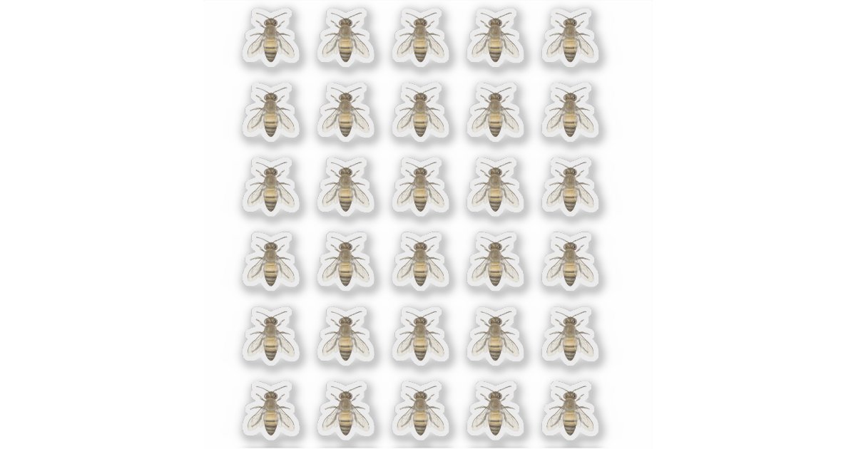 Honeybee Beekeeper Stickers | Zazzle
