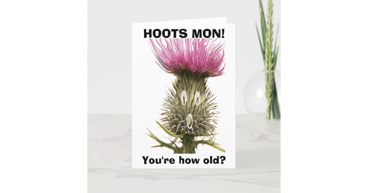 Hoots Mon! Greeting Card | Zazzle
