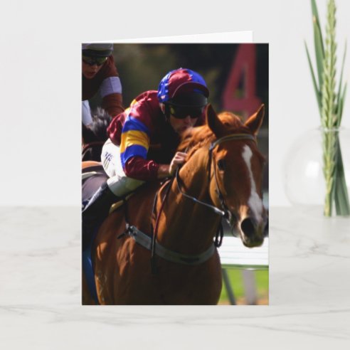 Horse Racing Cards | Zazzle UK