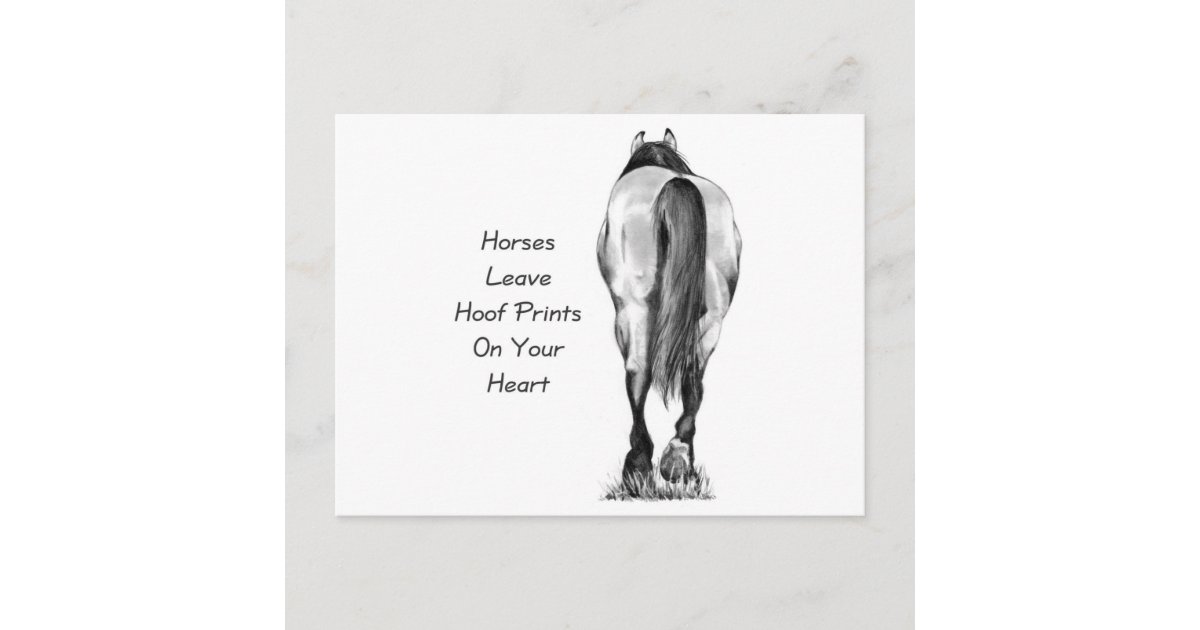 Horses Leave Hoofprints On Your Heart: Pencil Art Postcard | Zazzle