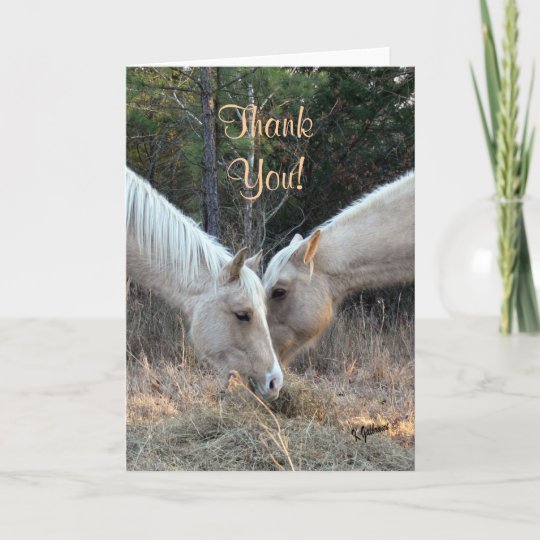 Horses Thank You Card | Zazzle.co.uk