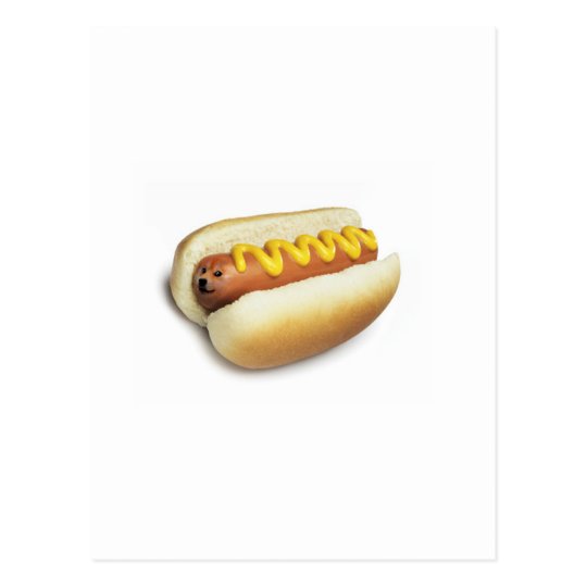 Hot Doge Meme Postcard | Zazzle.co.uk