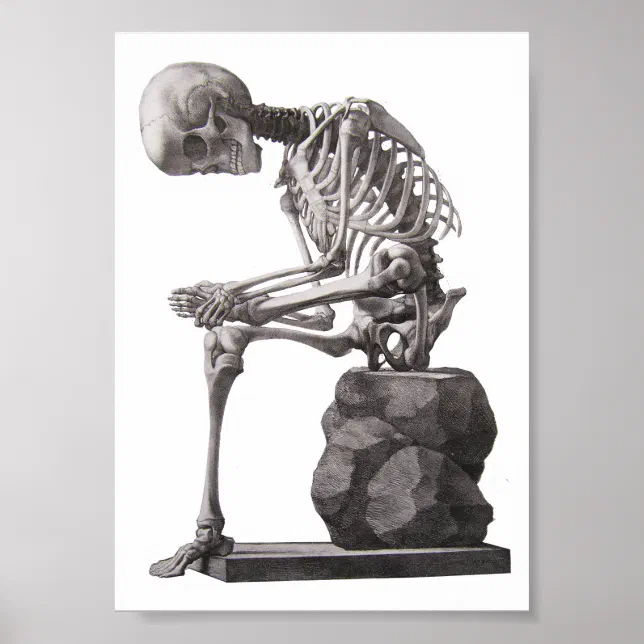 Human Skeleton Sitting Anatomy science Art Poster | Zazzle