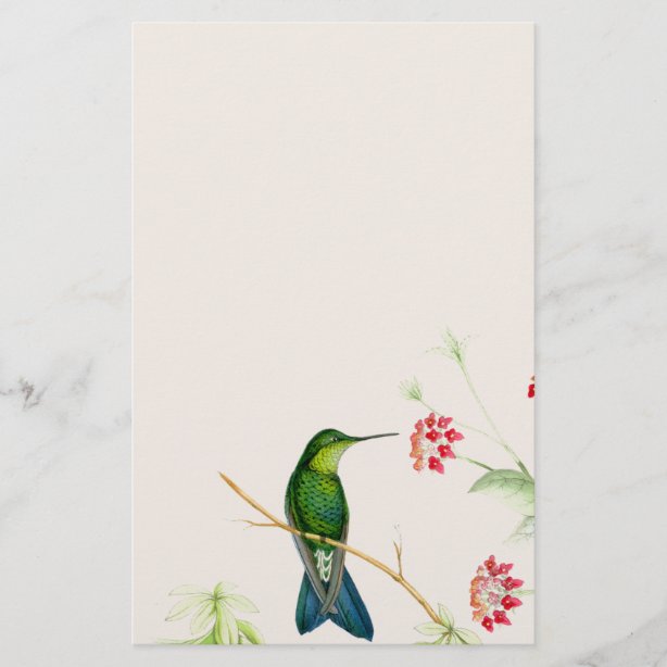 Hummingbird Stationery Paper | Zazzle UK