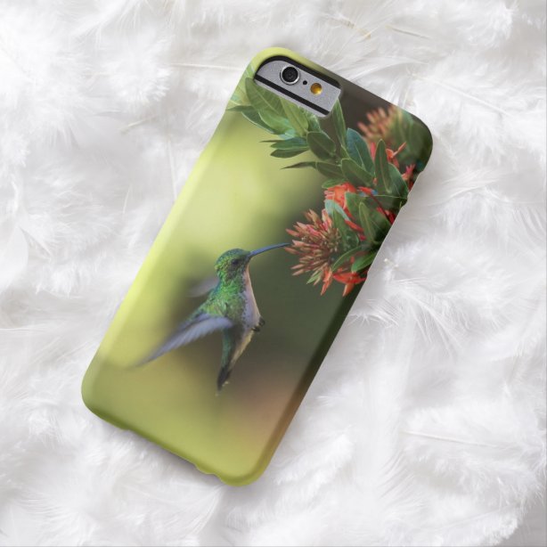 Hummingbird iPhone Cases & Covers | Zazzle.co.uk