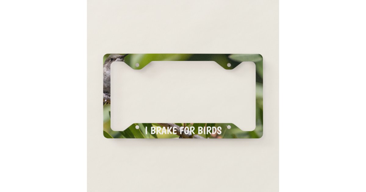Hummingbird License Plate Frame | Zazzle