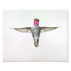 Hummingbird Proverbs 17:20 Bible Verse Photograph | Zazzle.co.uk