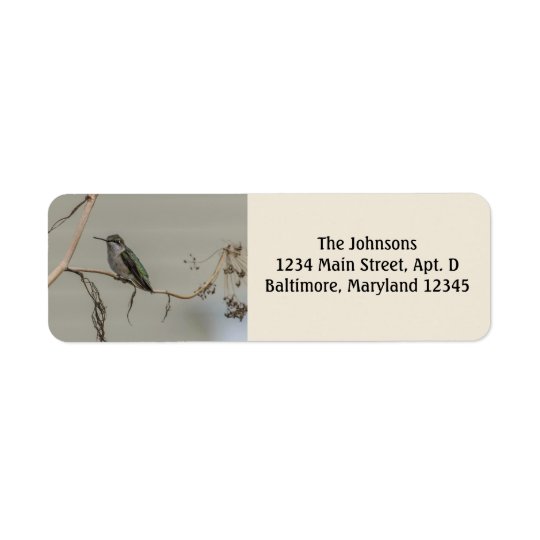 Hummingbird Return Address Labels | Zazzle.co.uk
