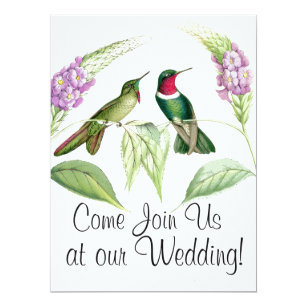 Hummingbird Wedding Invitations | Zazzle.co.uk