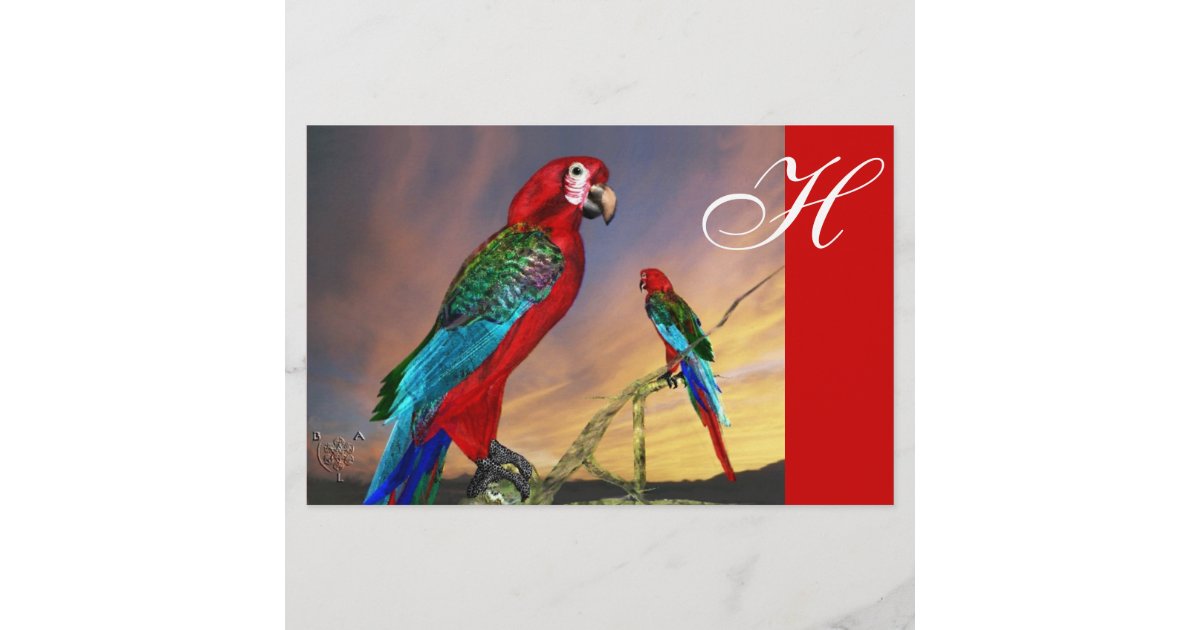 HYPER PARROTS / RED ARA MONOGRAM STATIONERY | Zazzle