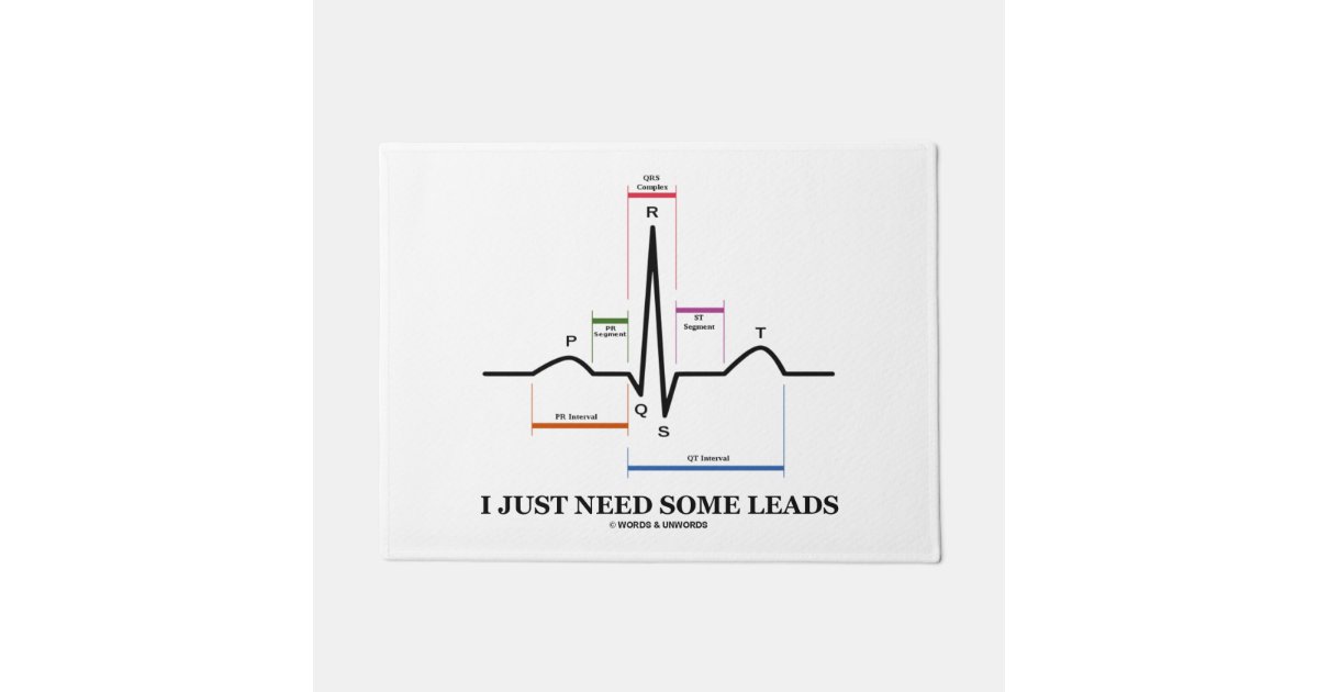 I Just Need Some Leads ECG EKG Medical Humour Doormat | Zazzle
