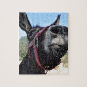 Donkey Jigsaw Puzzles | Zazzle.co.uk
